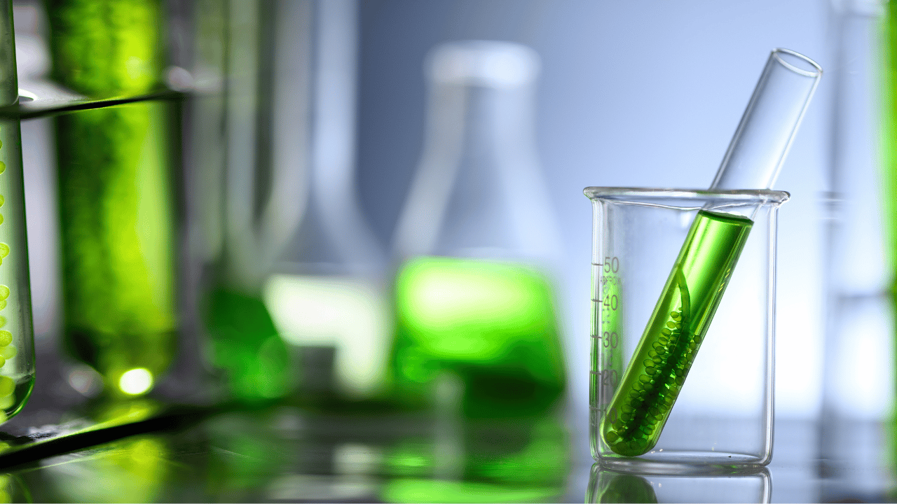 Bio-Lubricants In The Age Of Sustainability – Kline + Company