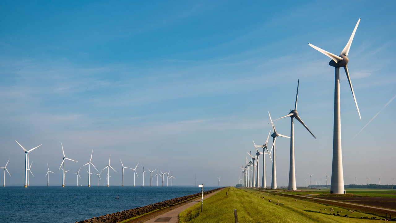 The Great Potential Of The Wind Power Industry