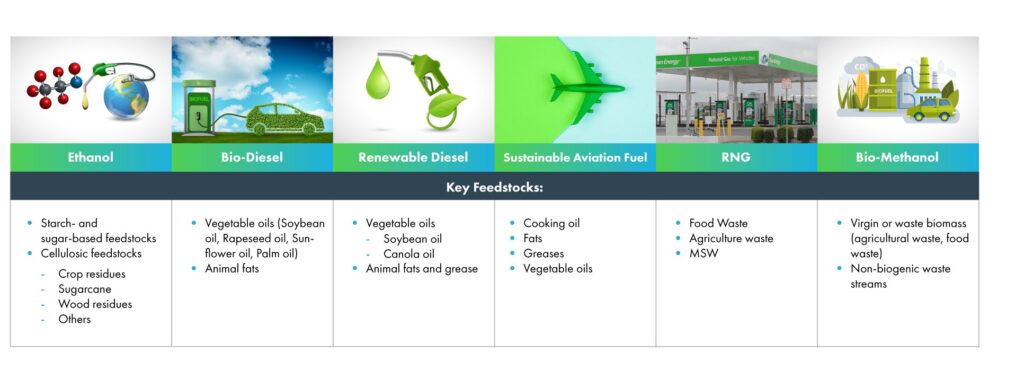 Biofuels: A Low Hanging Fruit Or A Real Solution To Industrial ...